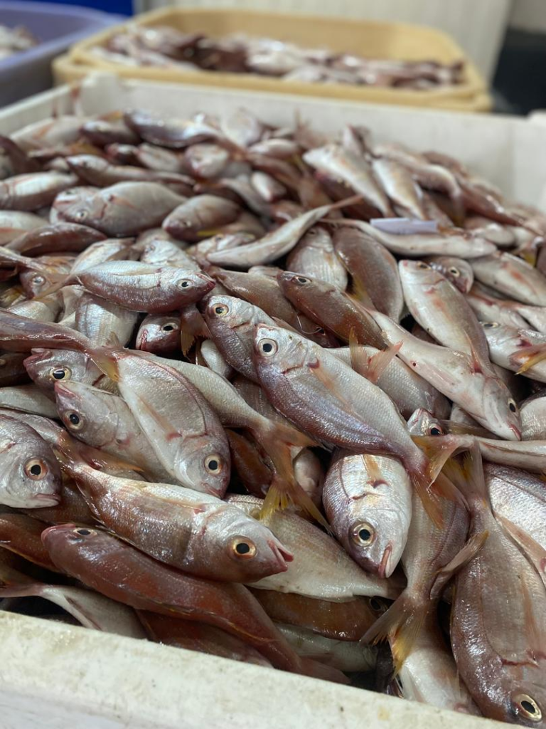 Home - El Marwa Fish
